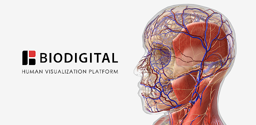 Biodigital Human | Biblioteca Universidad el Bosque